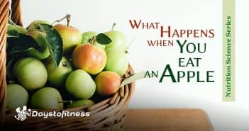 What Happens When You Eat an Apple | Days To Fitness