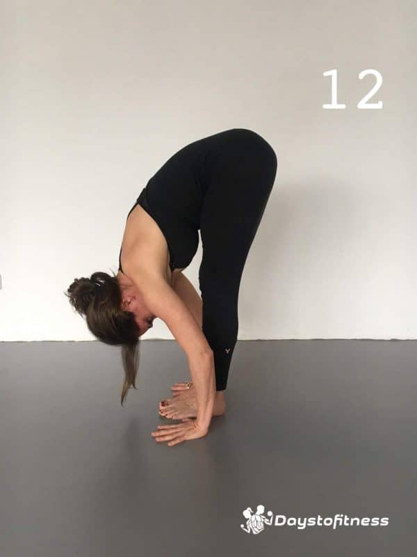 Yoga Poses for Beginners | Days To Fitness